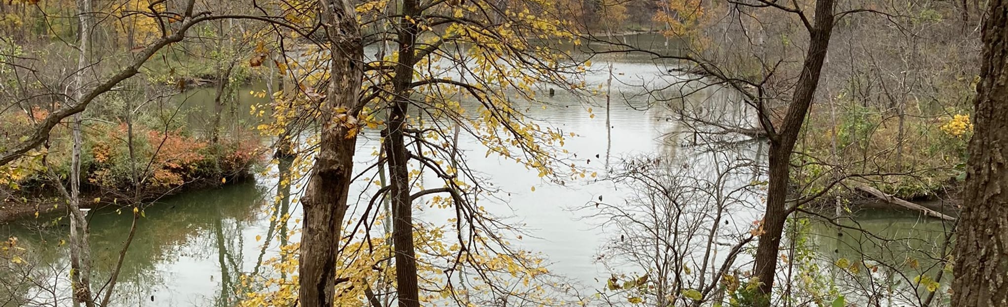 Blue Springs Lake Loop, Missouri - 406 Reviews, Map | AllTrails