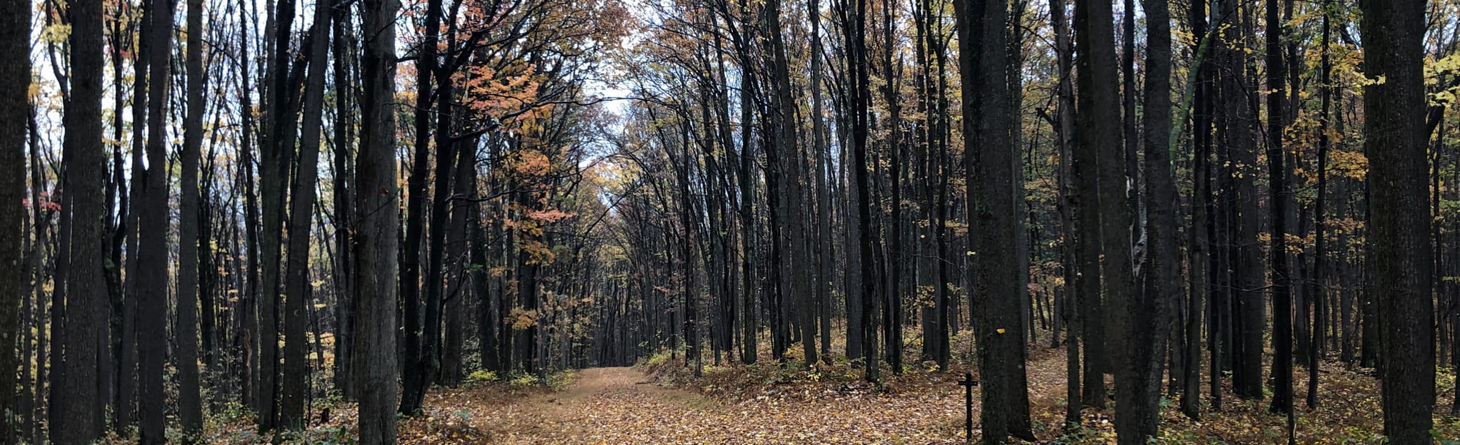 Miller Trail, Mill Run, Brocker and Hess Trail Loop: 60 Reviews, Map ...