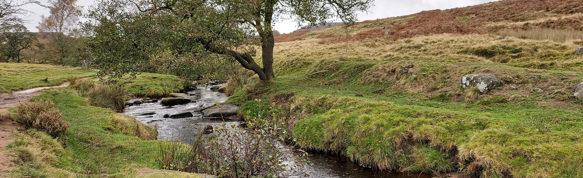 Padley Gorge Circular, Derbyshire, England - 704 Reviews, Map | AllTrails