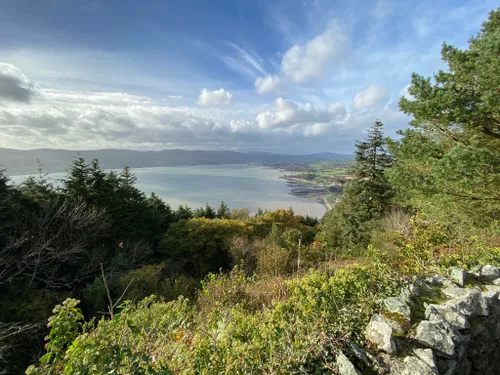 10 Best Trails, Walks, and Paths in Newry, Mourne and Down | AllTrails