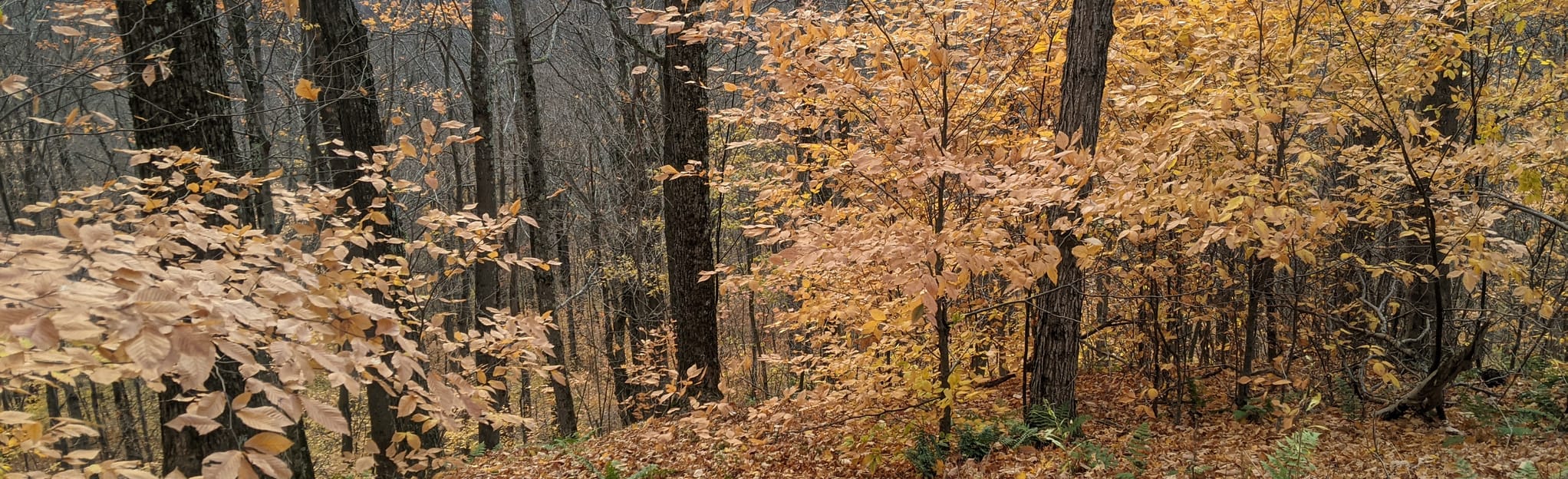 South Plattekill via Plattekill Turnpike: 9 Reviews, Map - New York ...