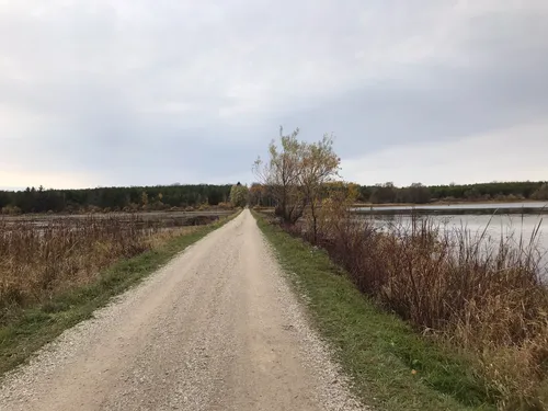 Best Hikes and Trails in Luther Marsh Conservation Area | AllTrails