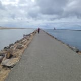 Old Sea World Drive Bay Trail, California - 202 Reviews, Map | AllTrails