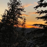 Tronsen Ridge Trail, Washington - 103 Reviews, Map | AllTrails