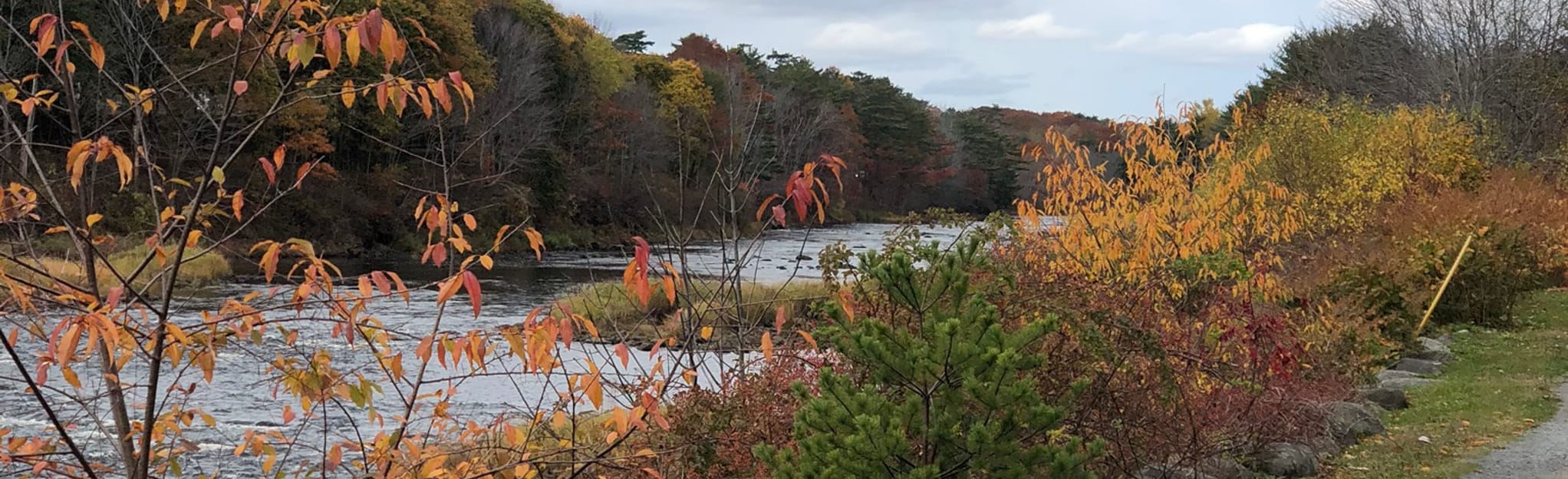 Bridgewater Centennial Trail: 49 Reviews, Map - Nova Scotia, Canada ...