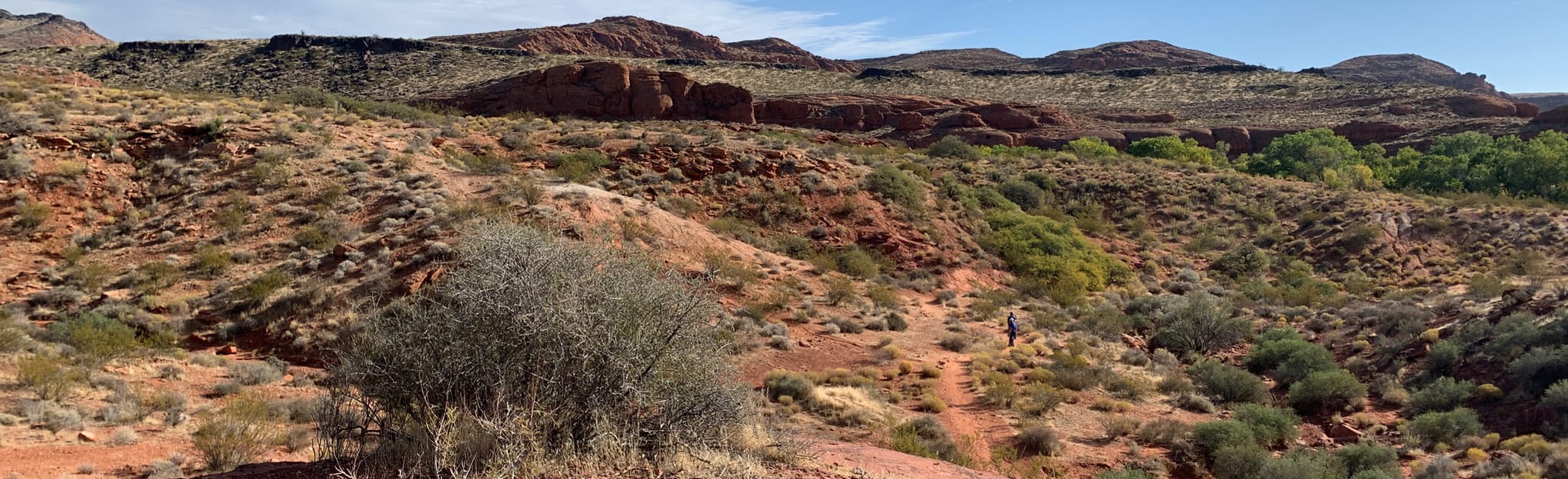 Beck Hill Trail, Utah - 74 Reviews, Map | AllTrails