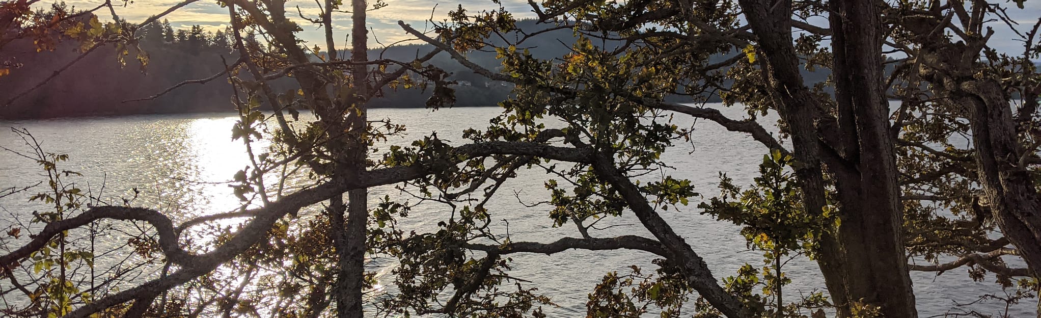 Cormorant Point, British Columbia, Canada - 35 Reviews, Map | AllTrails