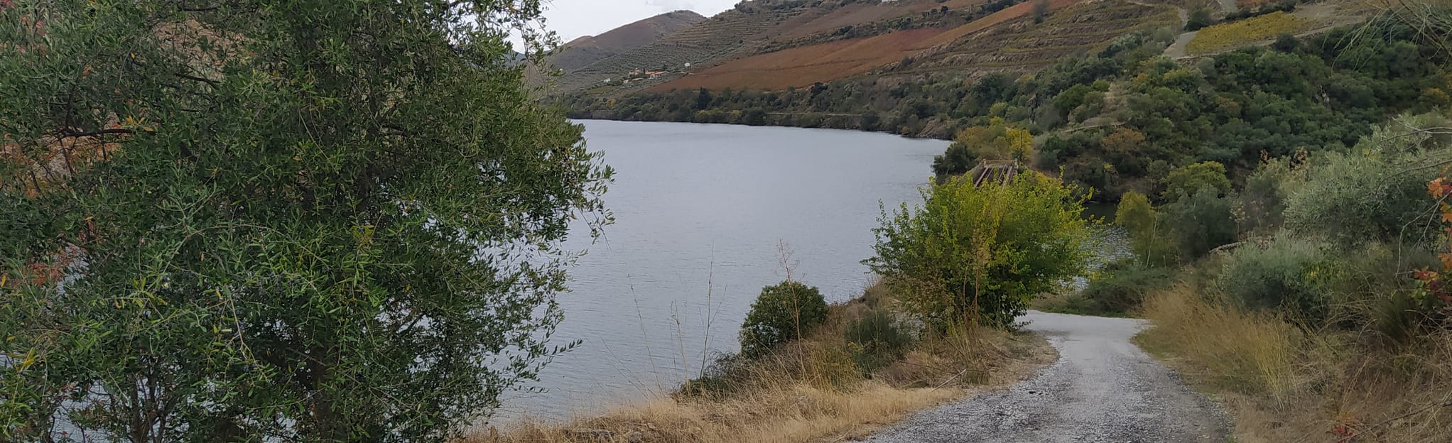 Linha do Douro (Foz Côa) - Guarda, Portugal | Wandern | AllTrails