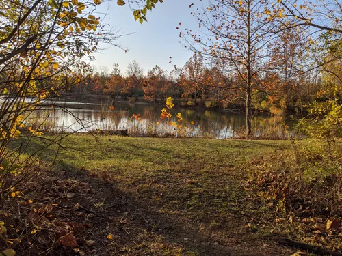 Best Hikes and Trails in Sycamore State Park | AllTrails