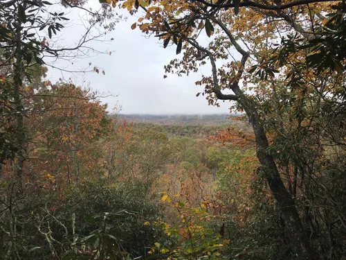 Best Hikes and Trails in Connestee Falls Hiking Trails | AllTrails