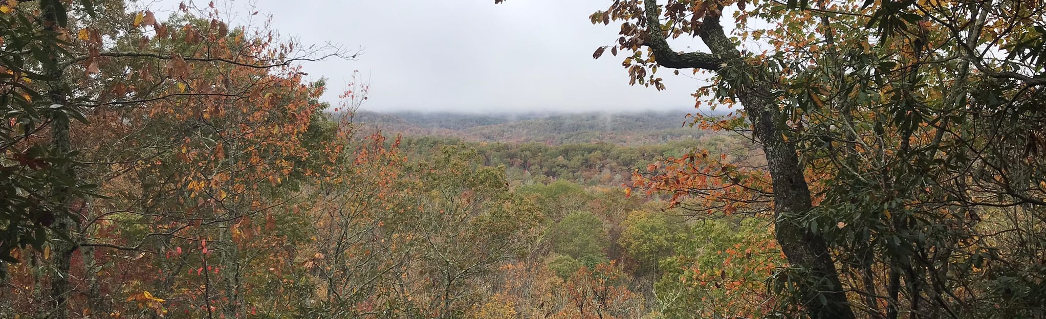 Salola and Lower Salola Trails Loop [PRIVATE PROPERTY]: 102 Reviews ...