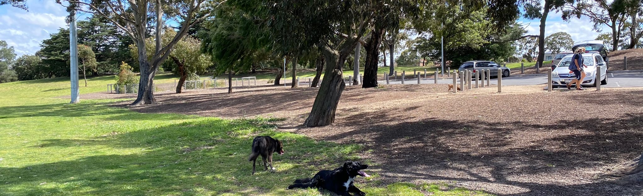 Nepean Highway Trail, Victoria, Australia - 15 Reviews, Map | AllTrails