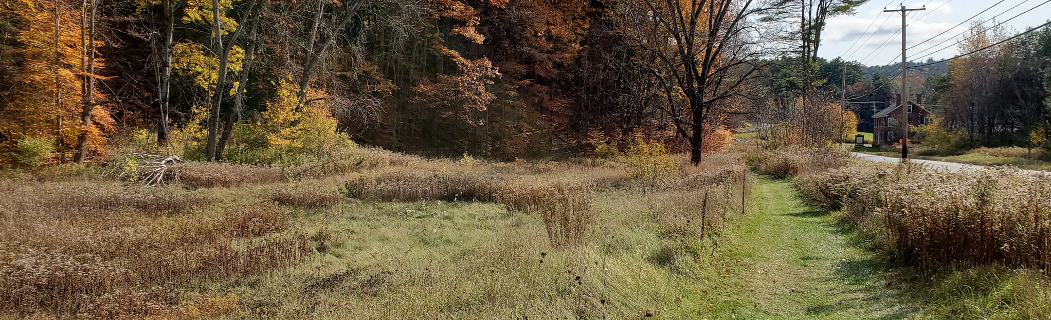 Ottauquechee Trail: 40 Reviews, Map - Vermont | AllTrails