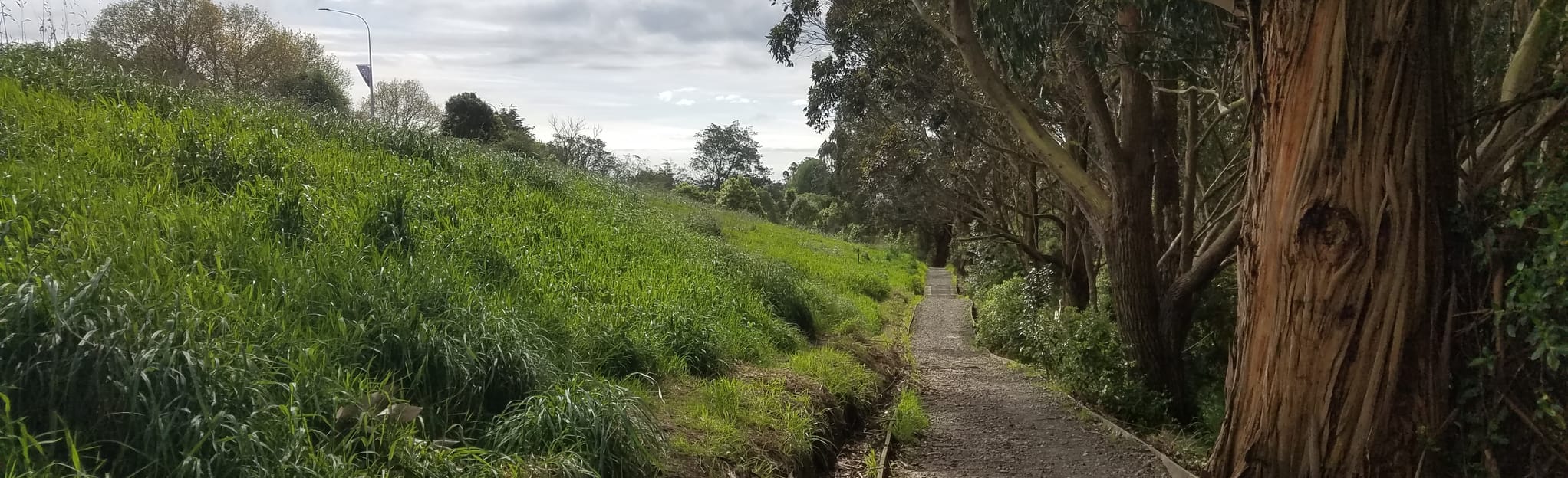 Poutoa Walkway, Manawatū-Whanganui, New Zealand - 9 Reviews, Map ...