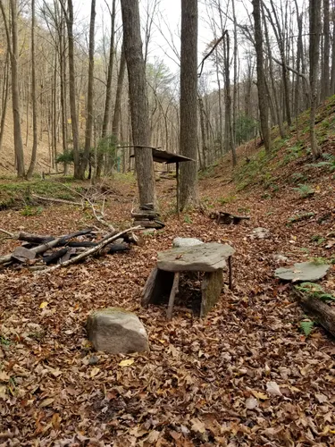 10 Best Hikes and Trails in Sproul State Forest | AllTrails