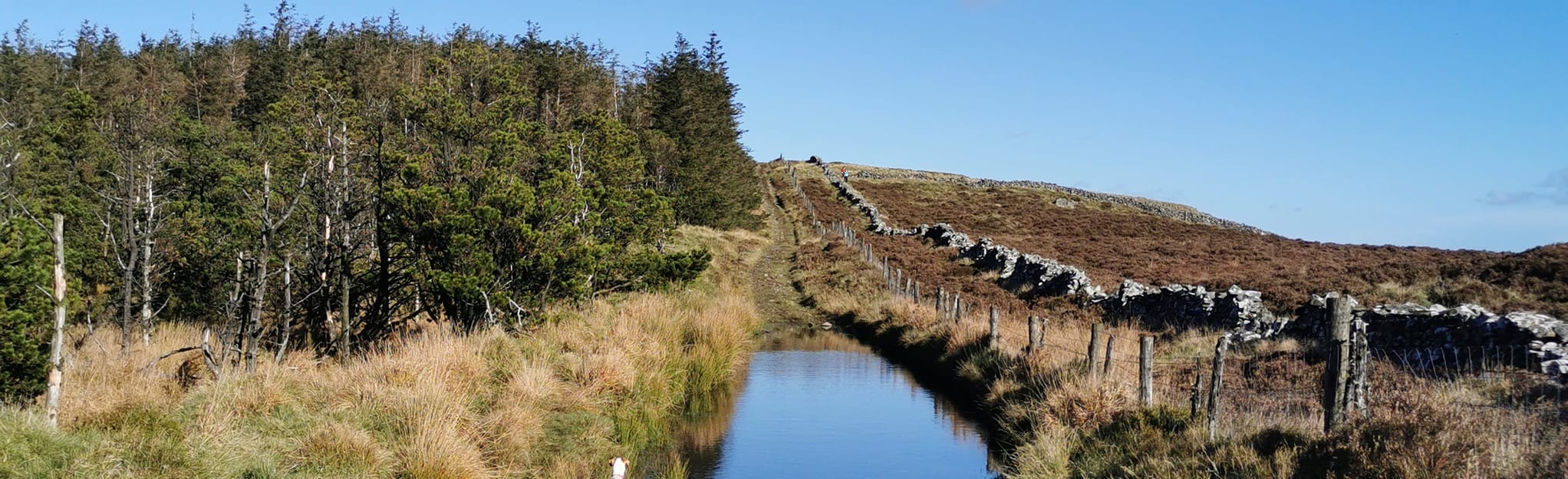 Wicklow Gap and Annagh Hill Loop : 117 Photos - Comté de Wexford ...