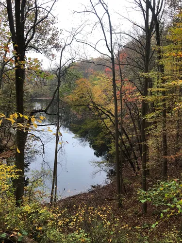 Best Hikes and Trails in Oregon Ridge Park | AllTrails