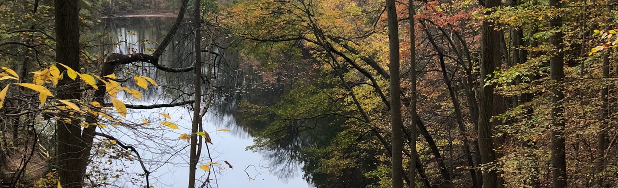 Lake Trail - Virginia Pine - Laurel Loop, Maryland - 193 Reviews, Map ...