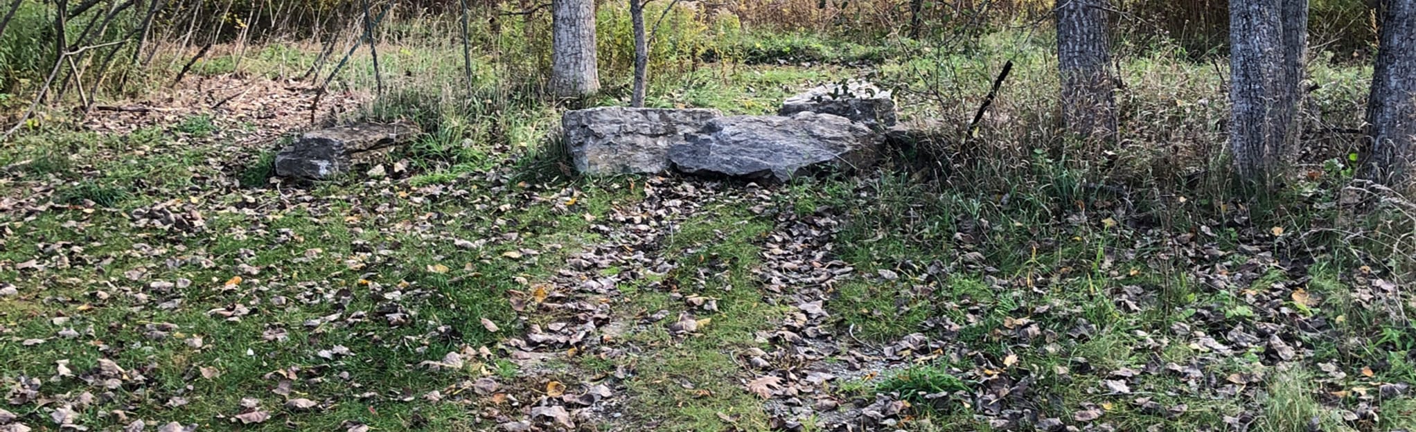 Lyn Valley Conservation Area Loop - Ontario, Canada | AllTrails
