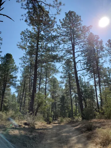 Best Waterfall Trails in Prescott National Forest | AllTrails