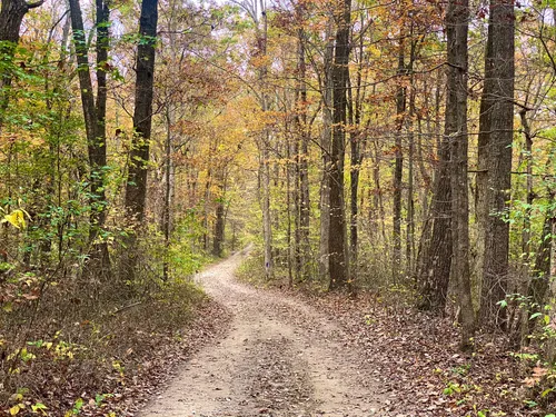 Best Horseback Riding Trails in Mammoth Cave National Park | AllTrails
