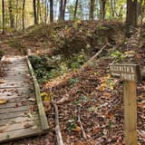 Beckwith Point Trail, Tennessee - 156 Reviews, Map | AllTrails