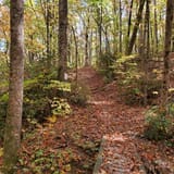 Beckwith Point Trail, Tennessee - 156 Reviews, Map | AllTrails