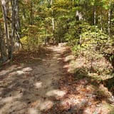 Beckwith Point Trail, Tennessee - 156 Reviews, Map | AllTrails