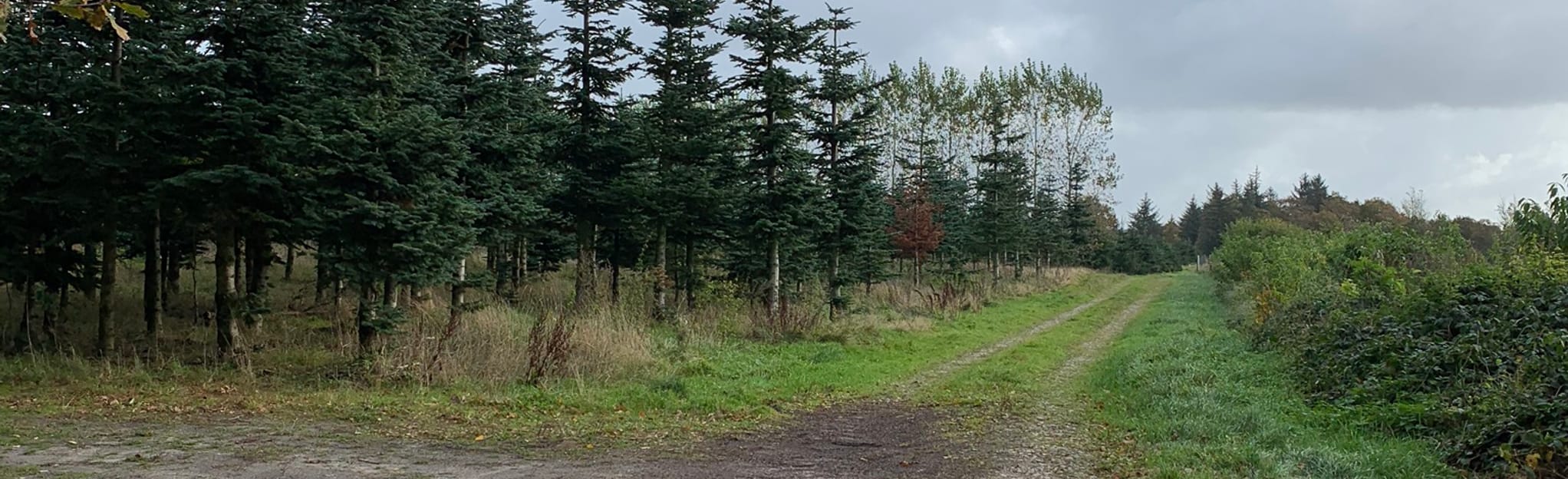 Kalby Plantage: 3 Reviews, Map - Region of Southern Denmark, Denmark ...