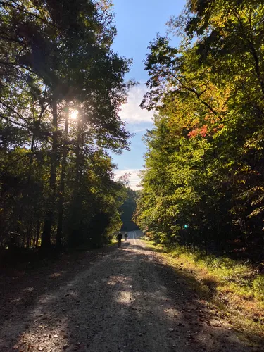 10 Best Trail Running Trails in William B. Umstead State Park | AllTrails