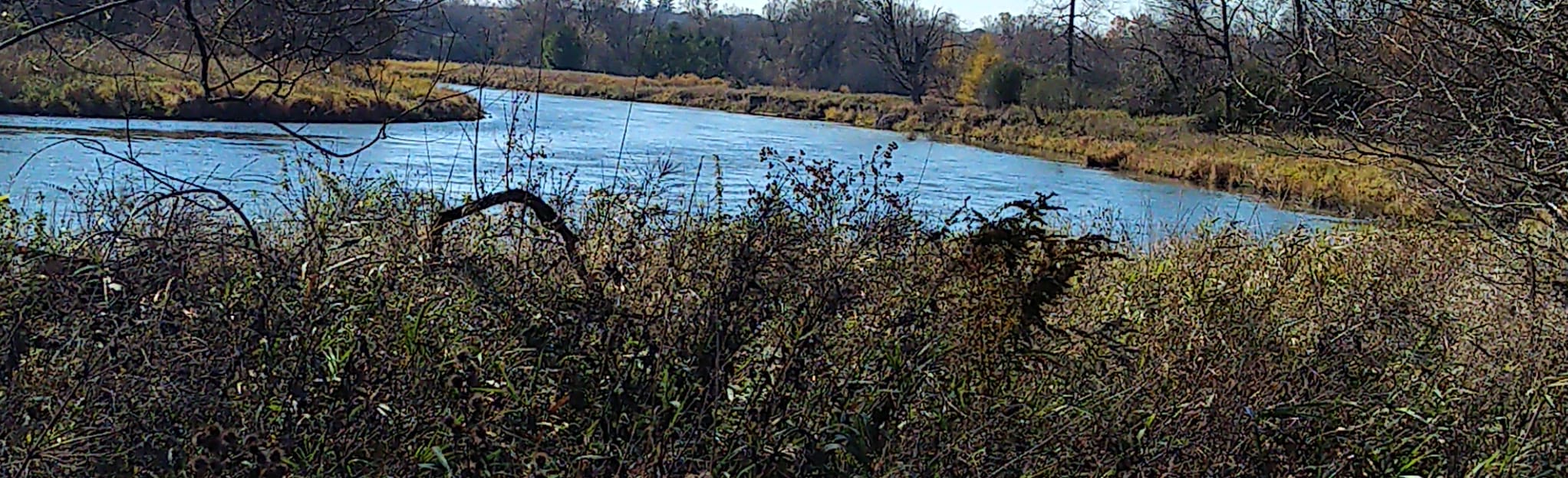 AllTrails | Walter Bean Grand River Trail (RIM Park): 104 Reviews, Map ...