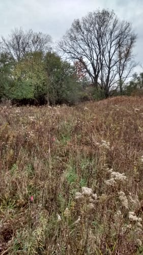 Best Hikes and Trails in Forest Preserves of Cook County | AllTrails