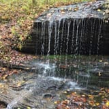 Fall Hollow Falls Trail, Tennessee - 143 Reviews, Map | AllTrails