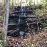 Fall Hollow Falls Trail, Tennessee - 143 Reviews, Map | AllTrails