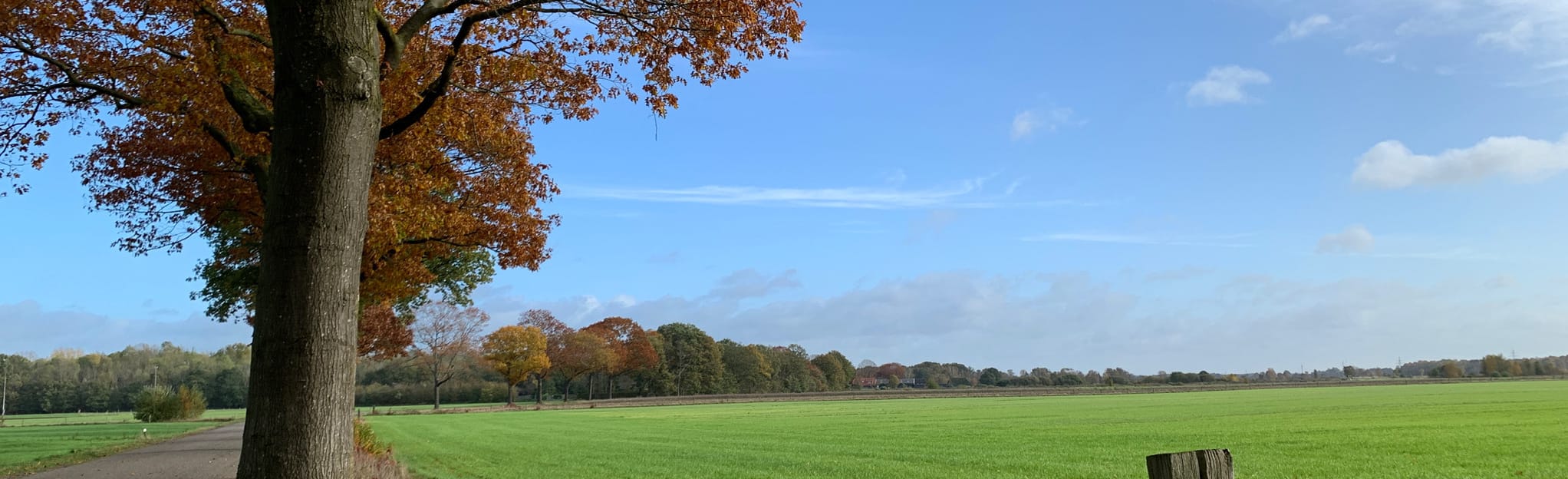 Wierdense Veld Oranje Wandelroute: 11 foto's - Overijssel, Nederland ...