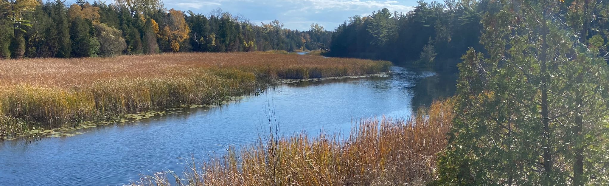 Outlet River Paddle, Ontario, Canada - 8 Reviews, Map | AllTrails