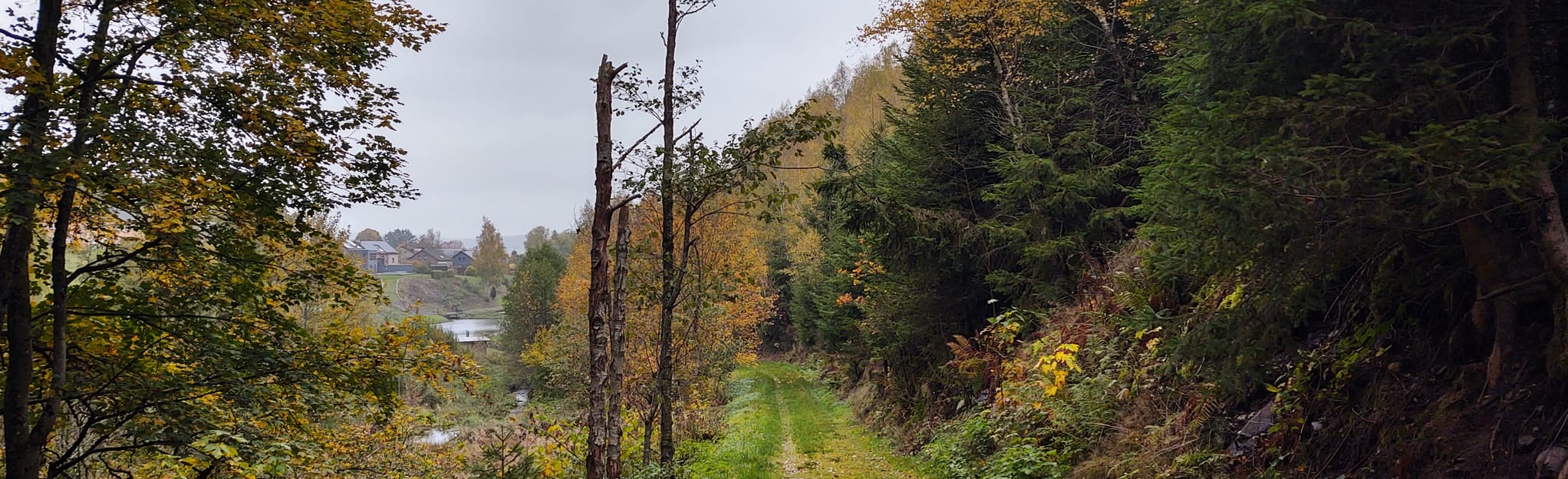La Falize - Le Colanhan: 2 Reviews, Map - Liège, Belgium | AllTrails