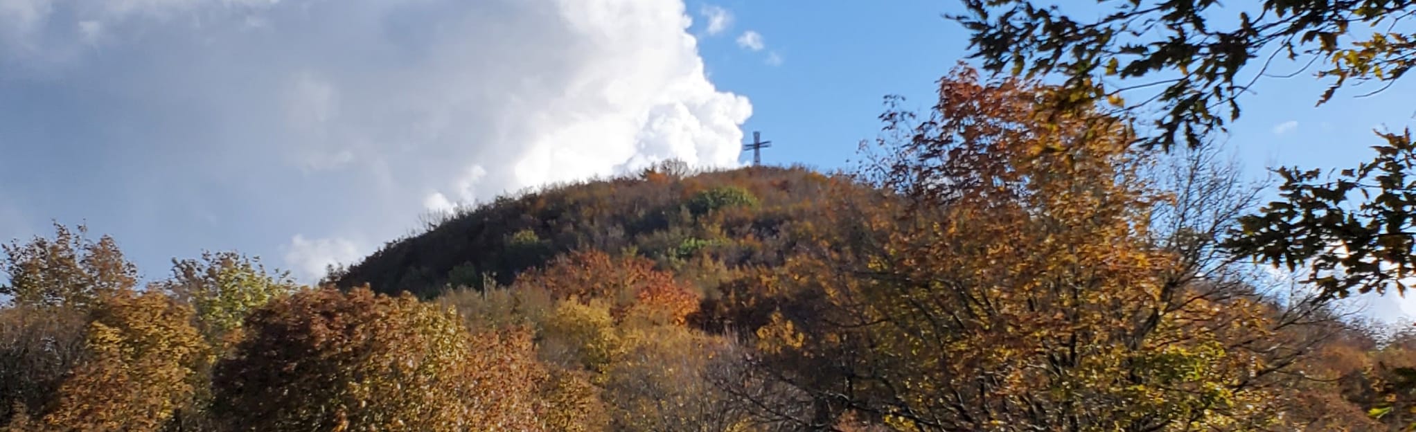 Monte Cetona - Valle Saccaia : 2 Reviews, Map - Tuscany, Italy | AllTrails