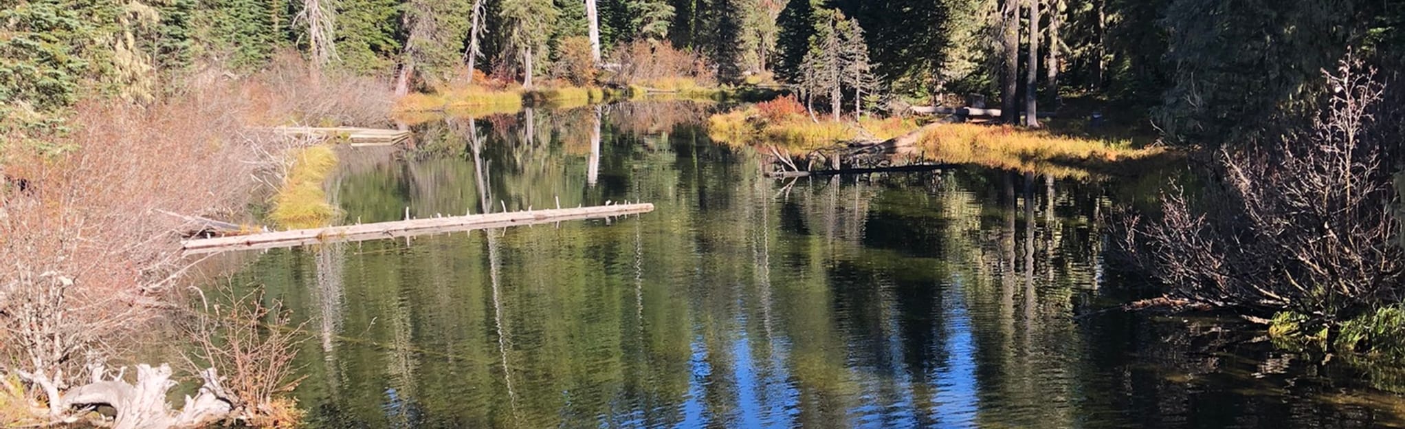 Salt Creek Trail: Marilyn and Gold Lakes, Oregon - 10 Reviews, Map ...