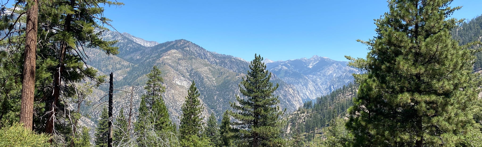 Don Cecil Trail [CLOSED]: 40 Reviews, Map - California | AllTrails