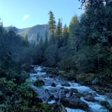 Mountain Loop Highway, Washington - 62 Reviews, Map | AllTrails