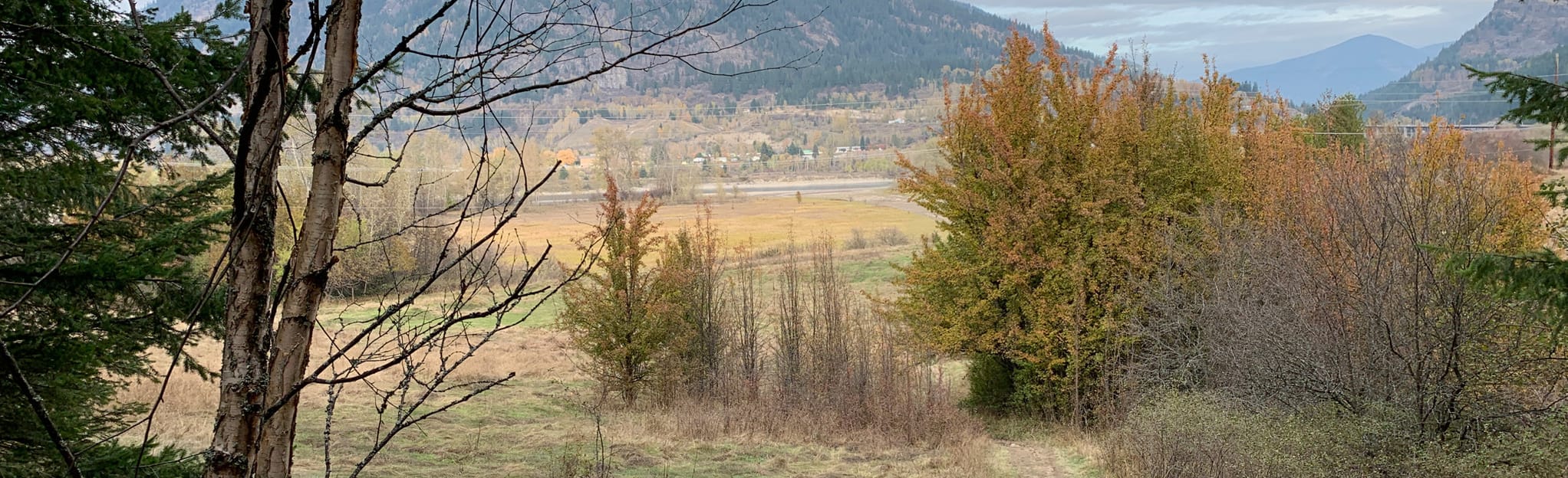 Selkirk Loop, British Columbia, Canada - 52 Reviews, Map | AllTrails