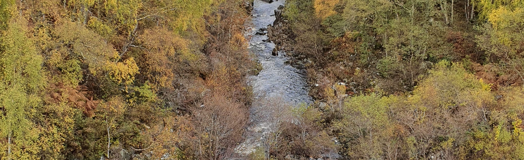 Loch Meig and Scatwell Circular, Highlands, Scotland - 61 Reviews, Map ...