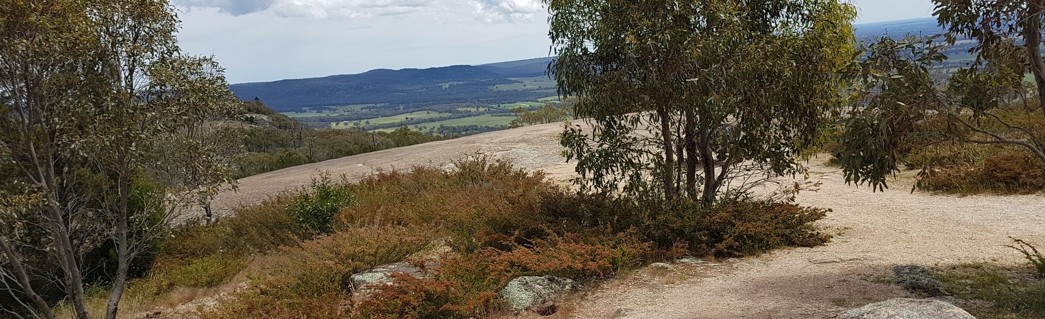 Beechworth to Mount Pilot Loop: 50 Fotos - Victoria, Australien | AllTrails