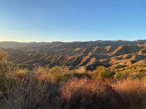 Best Hikes and Trails in Pico Canyon Park | AllTrails