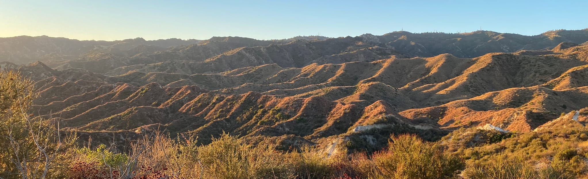 Pico Canyon Crume’s Inner Loop: 270 Reviews, Map - California | AllTrails