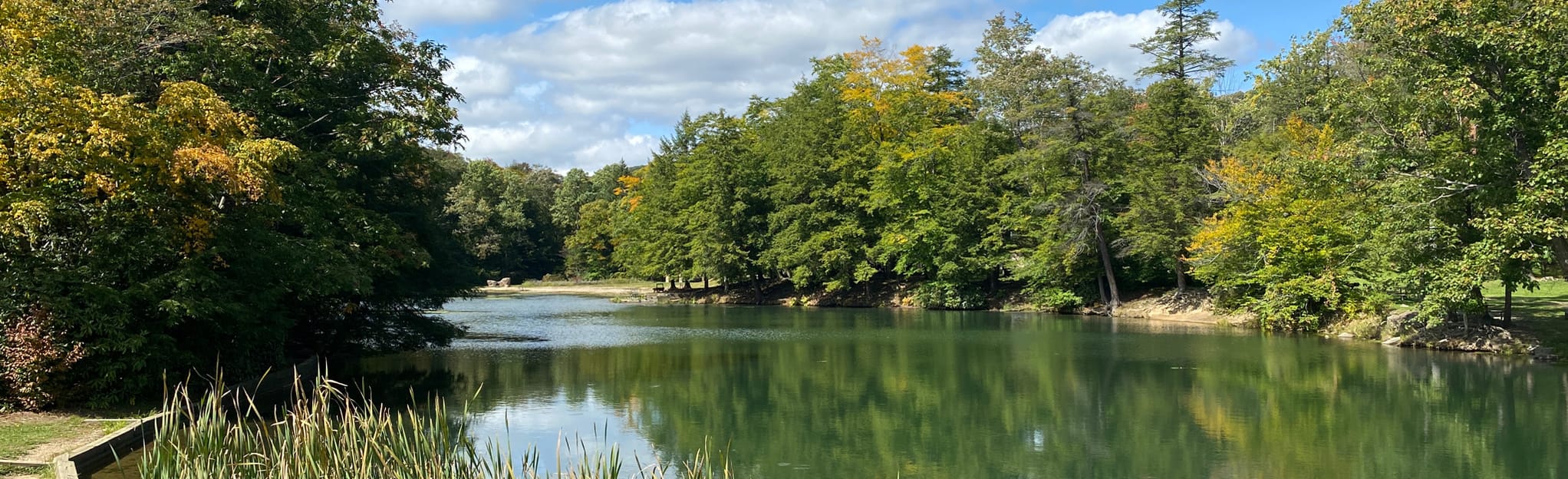 Tree Army Trail, Pennsylvania - 67 Reviews, Map | AllTrails