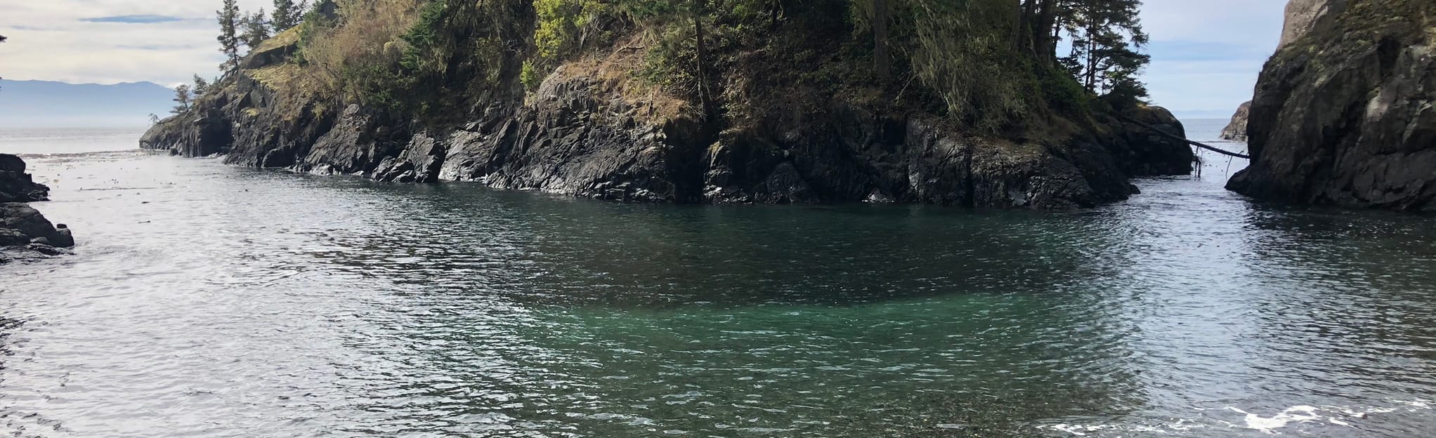Beechey Head, Cabin Point and Babbington Hill Loop - British Columbia ...