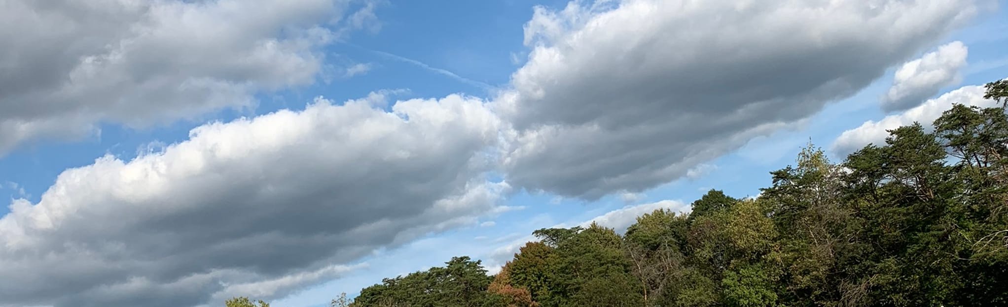 Linbrook Eagle Scout Trail Short Loop, Pennsylvania - 13 Reviews, Map ...