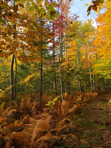 Prevost : les 10 meilleures randonnées et itinéraires en 2023 | AllTrails